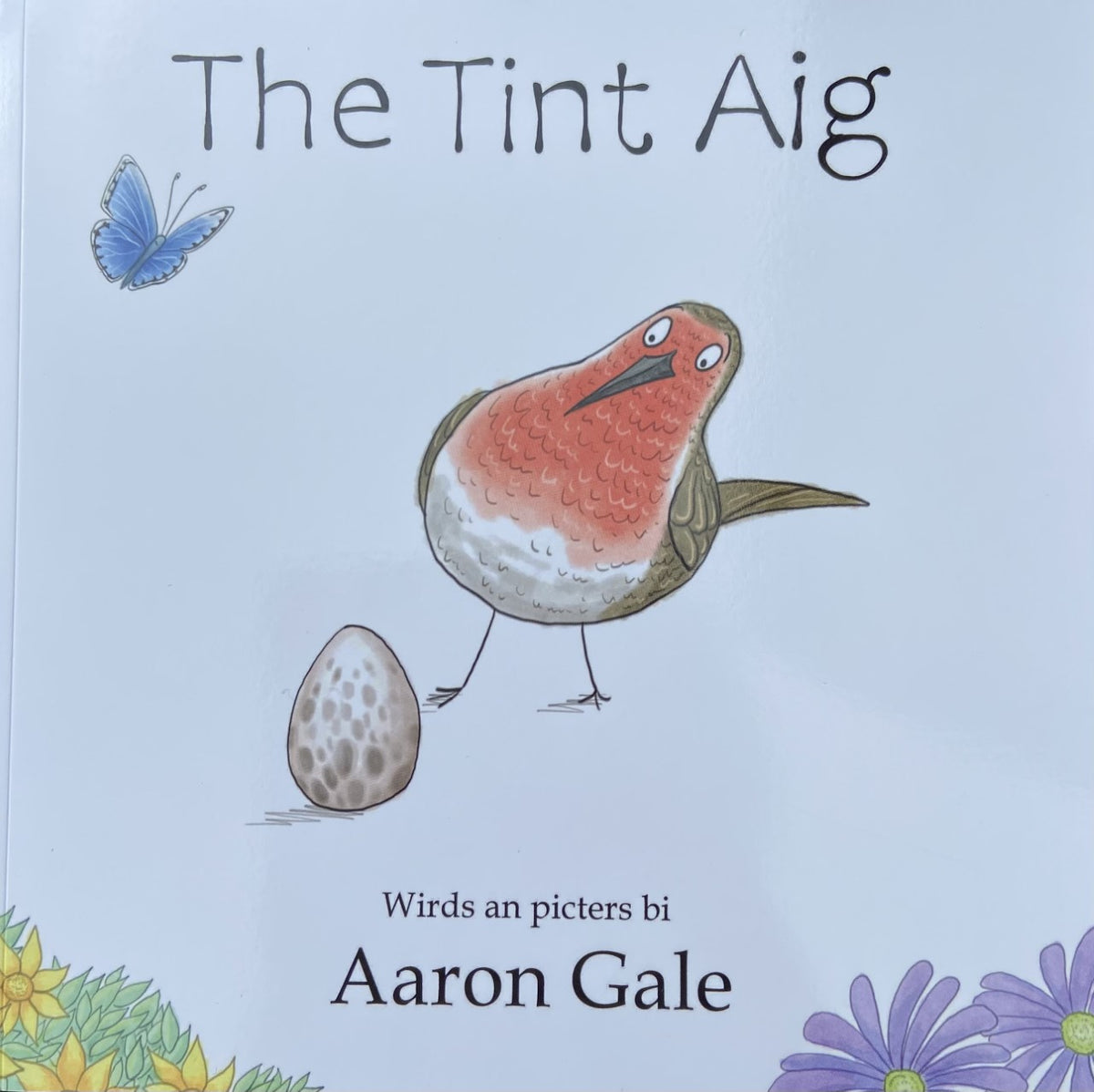 The Tint Aig - Book Launch and Activity Day — Doric Books